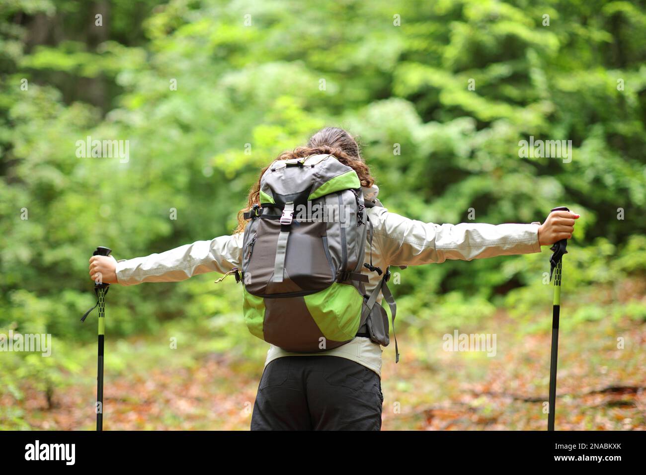 Back view portrait of a backpacker outstretching arms in a forest Stock ...
