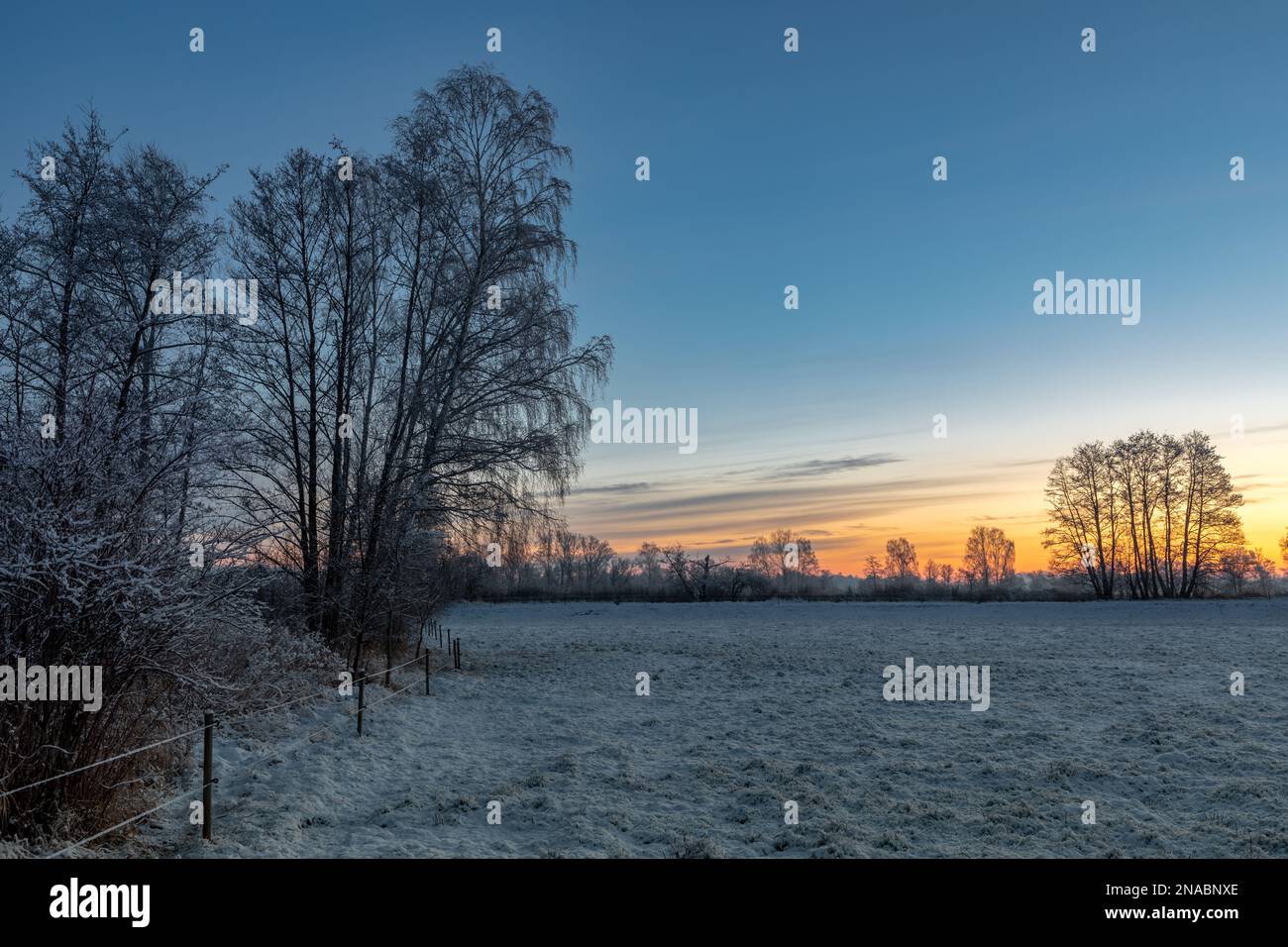 Field snow grass in morning hi-res stock photography and images - Alamy