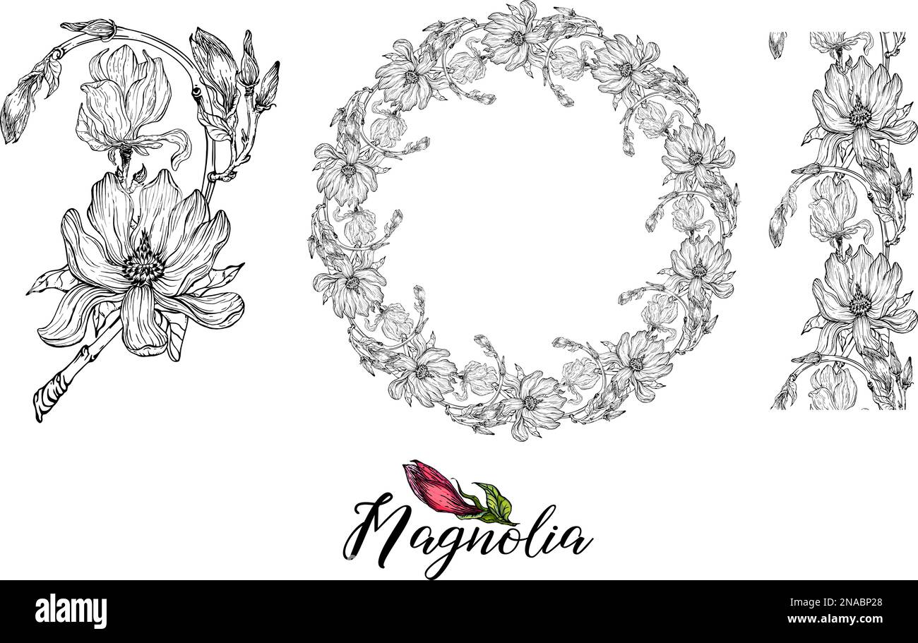 Set of vector flower arrangements with Magnolia flowers. Delicate ...