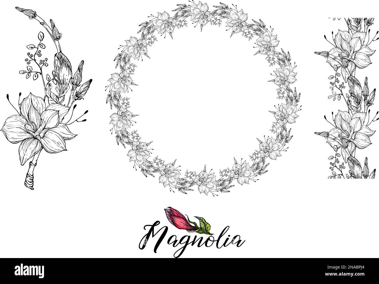 Set of vector flower arrangements with Magnolia flowers. Delicate ...