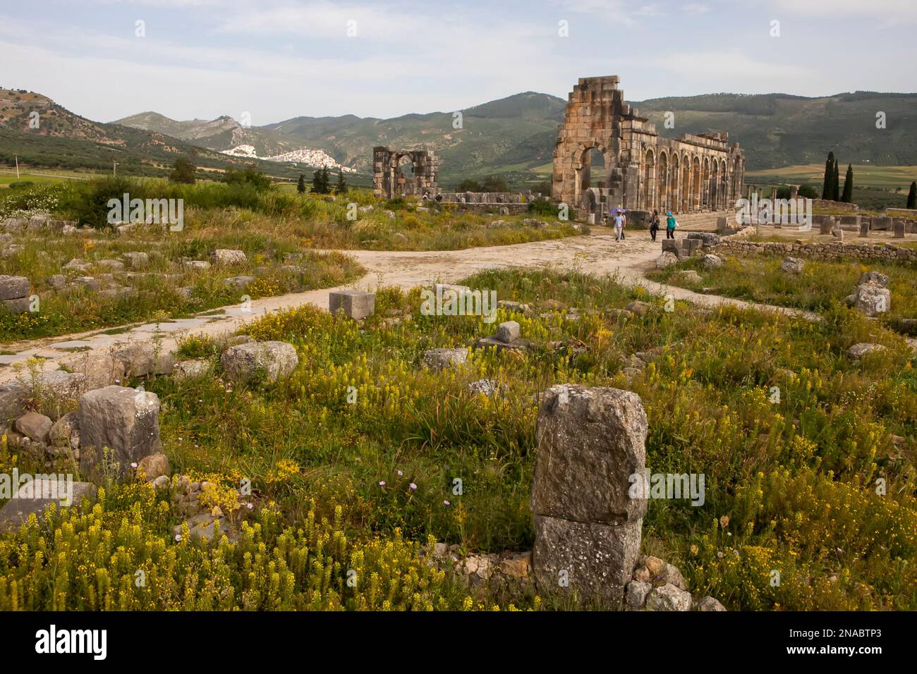 The ruins of Voluilis scatter the Moroccan countryside; Volubilis ...