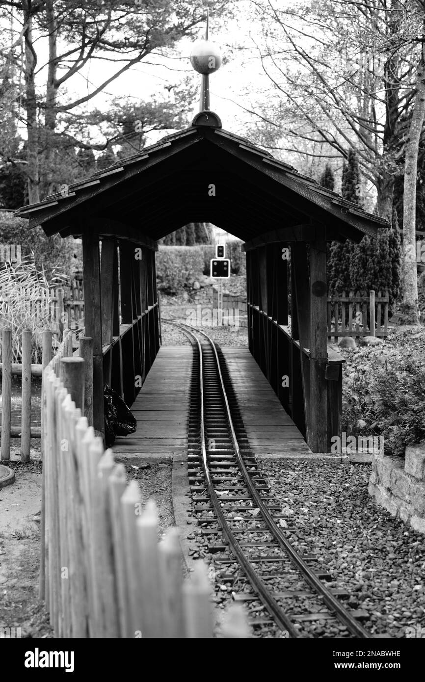 A vertical grayscale of a railway track between trees Stock Photo - Alamy