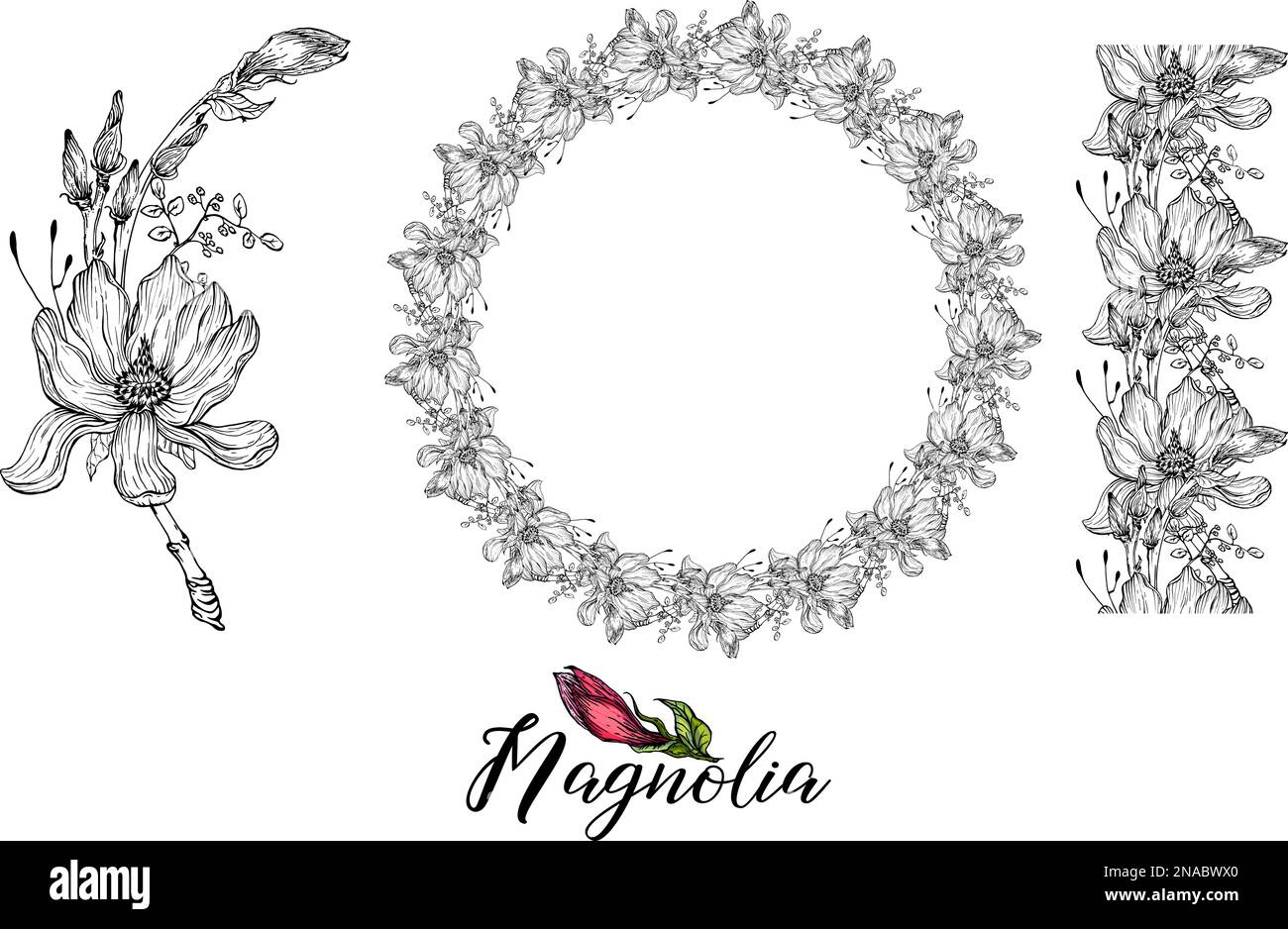 Set of vector flower arrangements with Magnolia flowers. Delicate ...