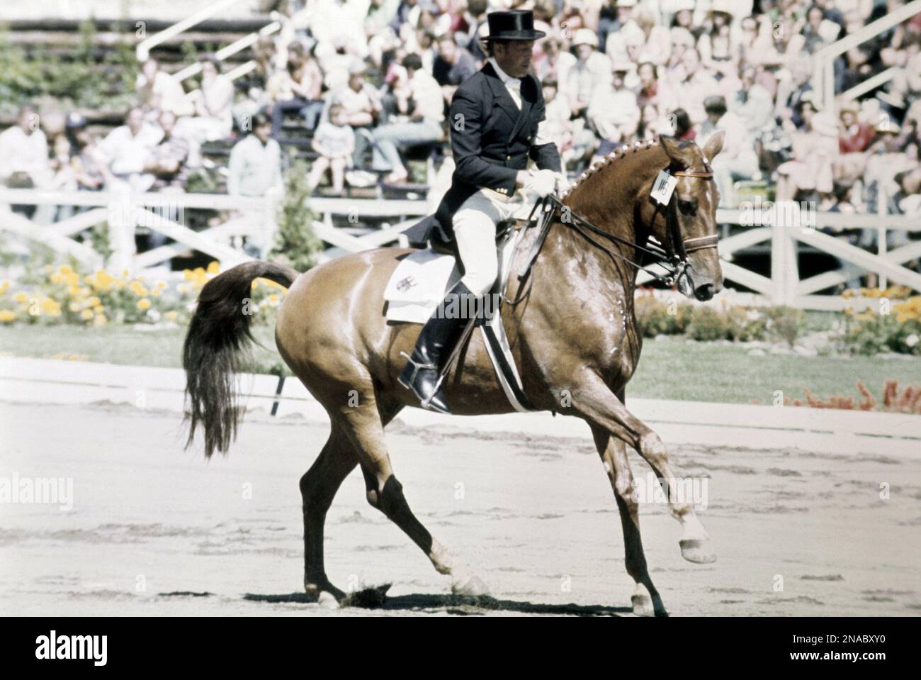 West Germany's Harry Boldt riding Woycek during the Grand Prix Dressage Team Event at the Summer ...