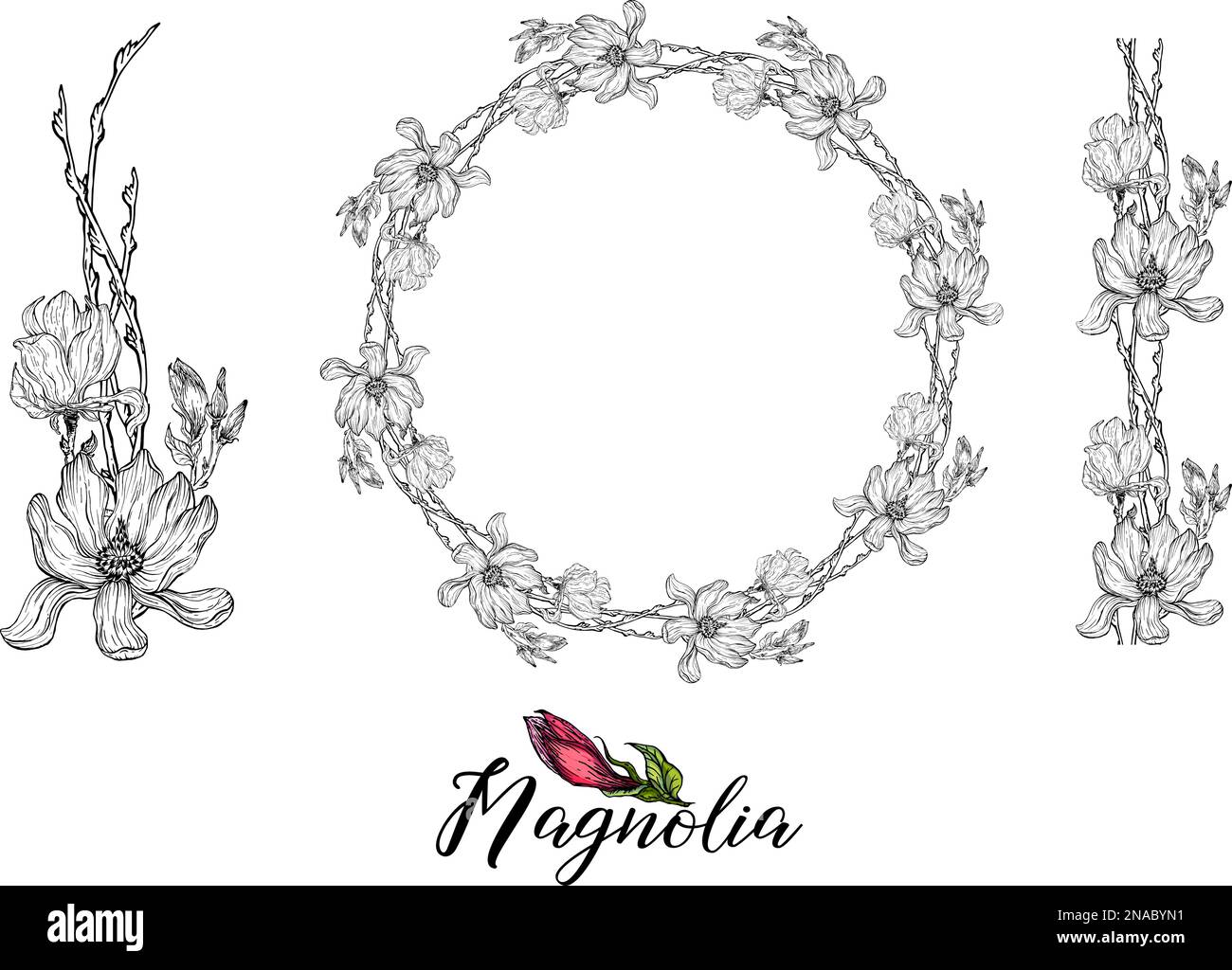 Set of vector flower arrangements with Magnolia flowers. Delicate ...