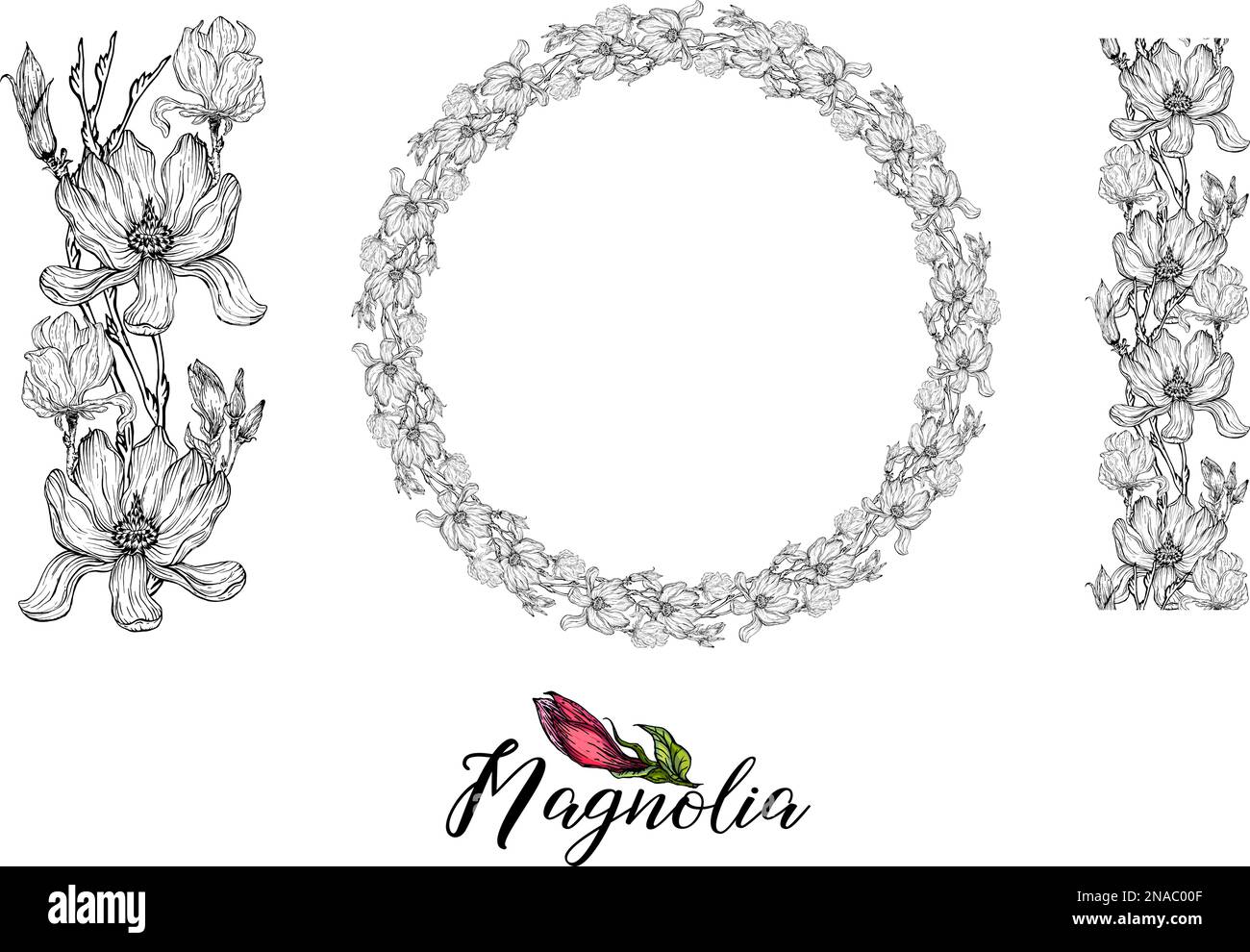 Set of vector flower arrangements with Magnolia flowers. Delicate ...