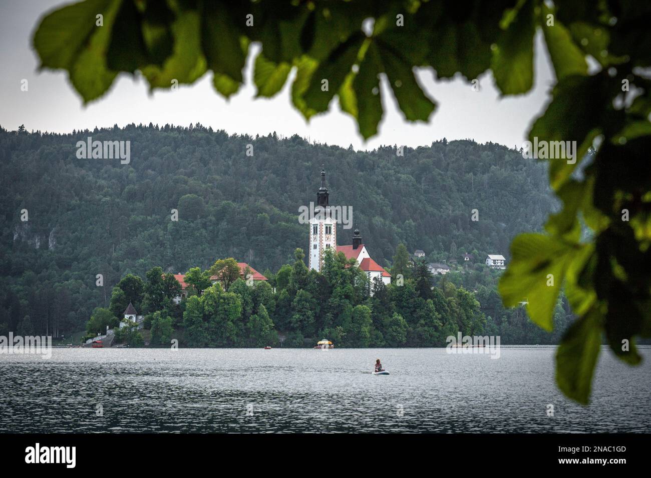 Lake Blade with a Church of the Assumption of Mary view, and a girl on ...