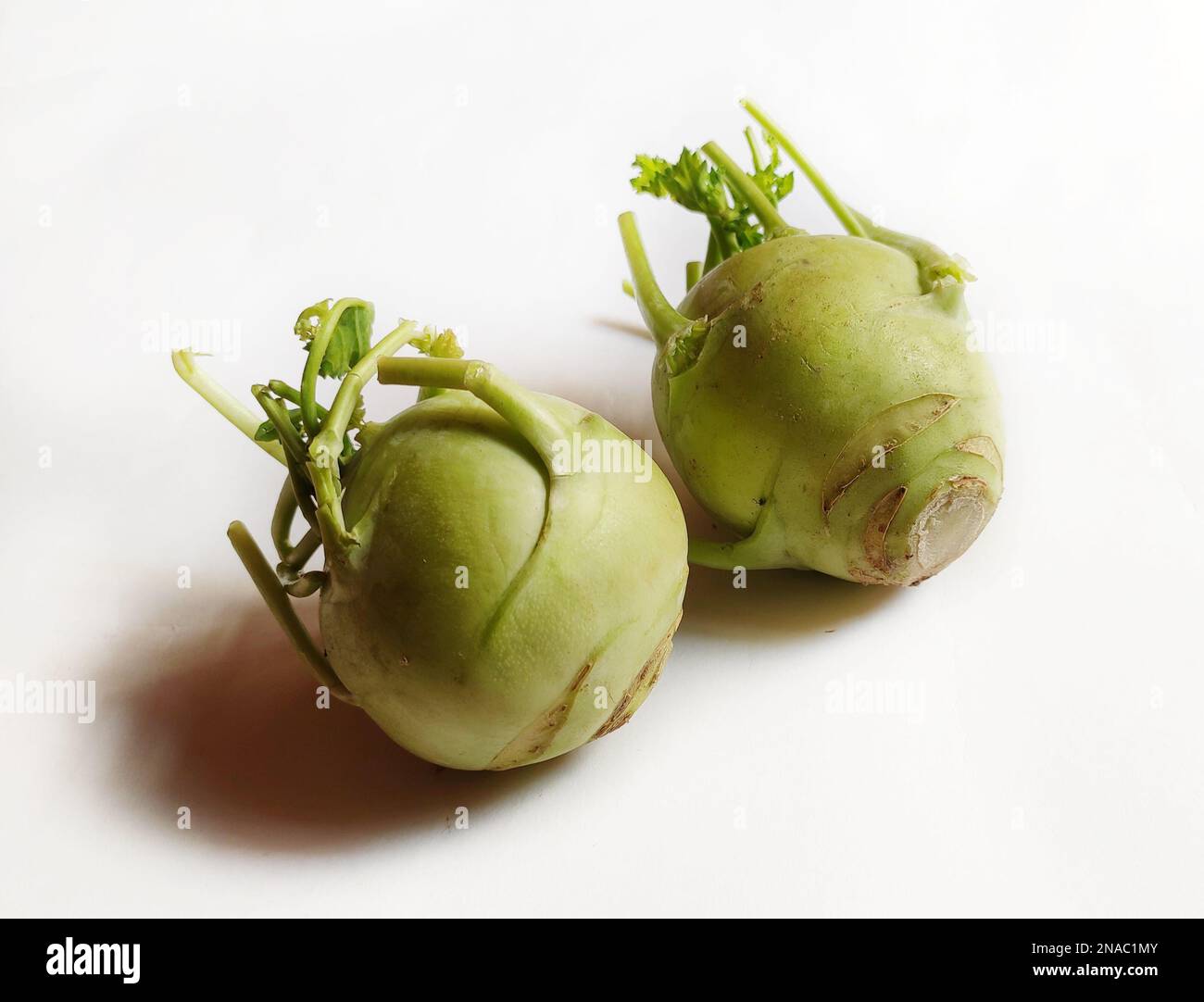 Couve rabano hi-res stock photography and images - Alamy