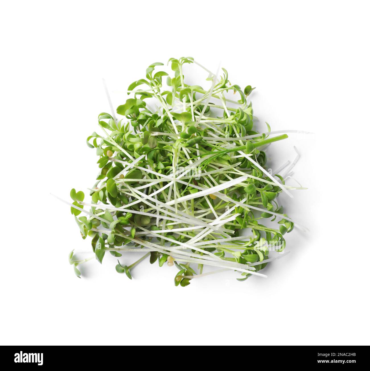 Pile of fresh microgreens isolated on white, top view Stock Photo - Alamy