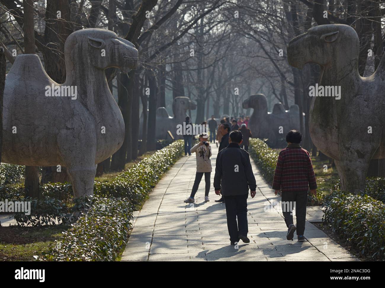 Avenue of sculptures at Mingxiaoling, the tomb of the first Ming ...