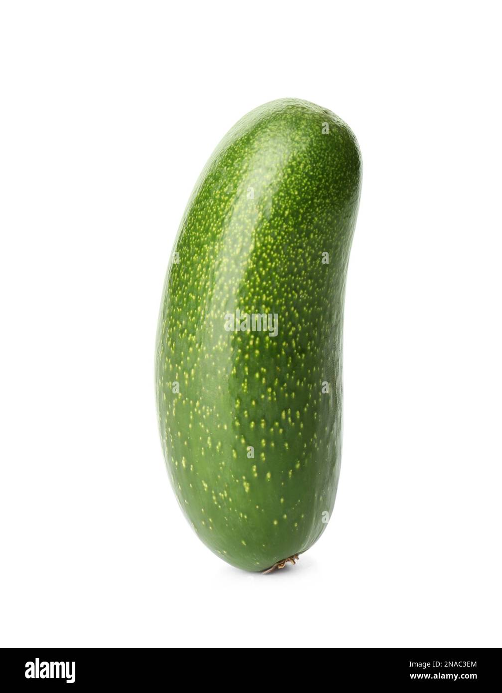 Fresh whole seedless avocado isolated on white Stock Photo - Alamy