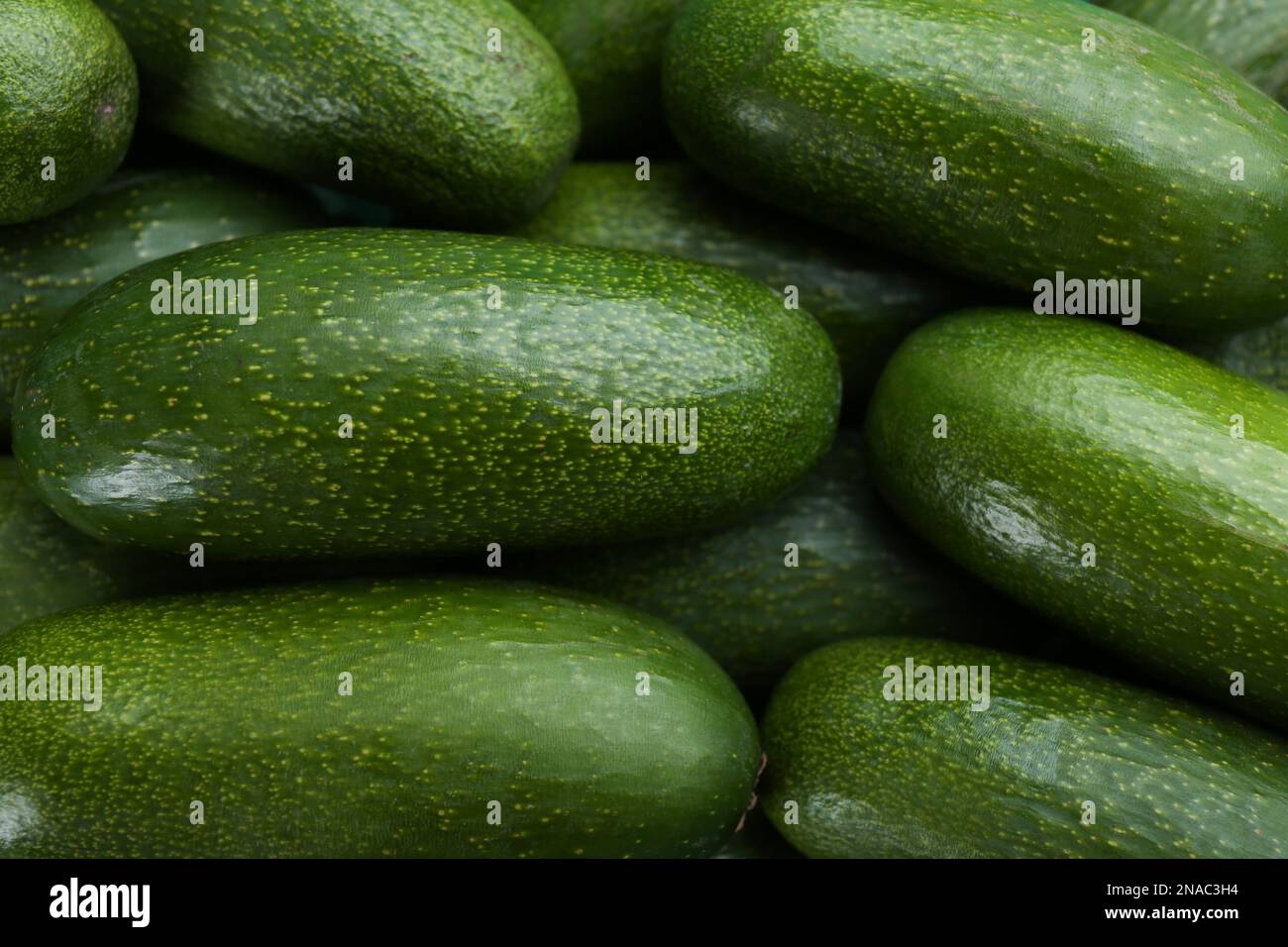 Fresh whole seedless avocados as background, closeup Stock Photo - Alamy
