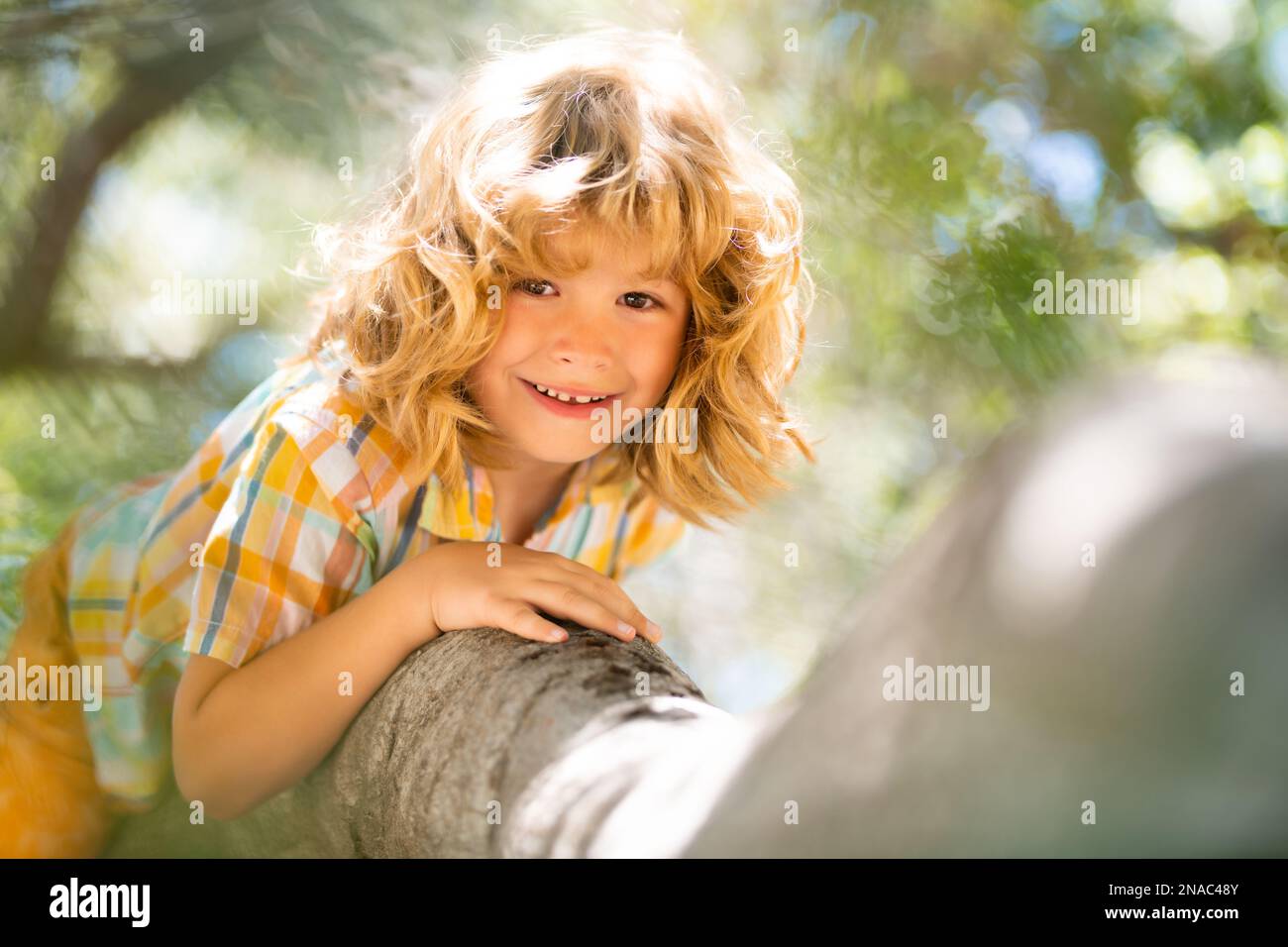 Child on a tree. Insurance kids. Health care insurance concept for kids ...