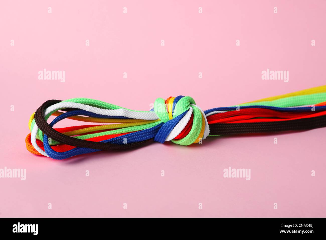 Many colorful shoe laces tied in knot on light pink background Stock ...
