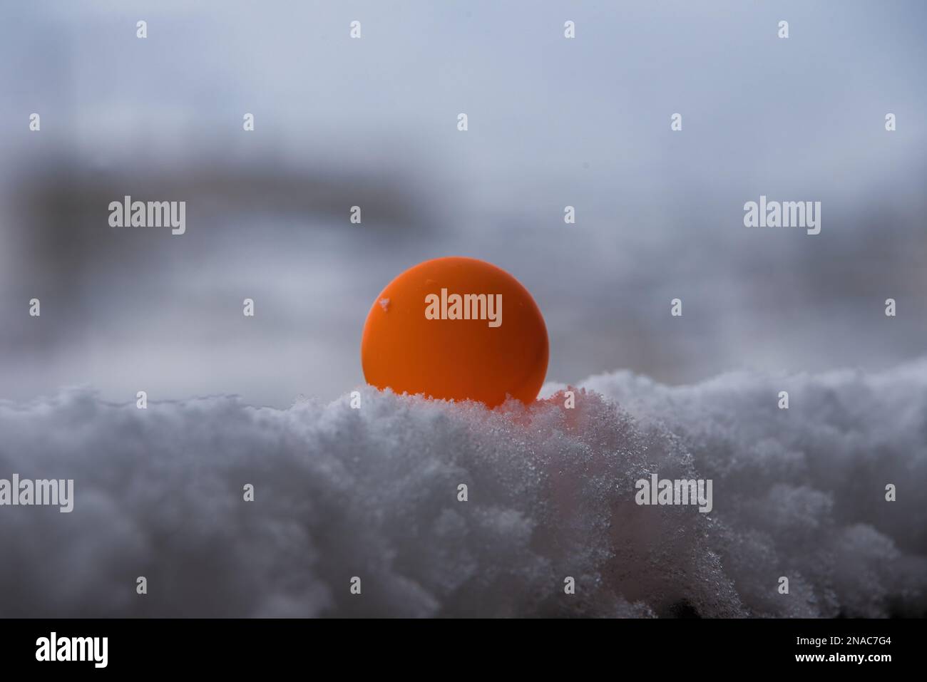 orange ping pong ball in the snow, ping pong in a snowy landscape Stock ...