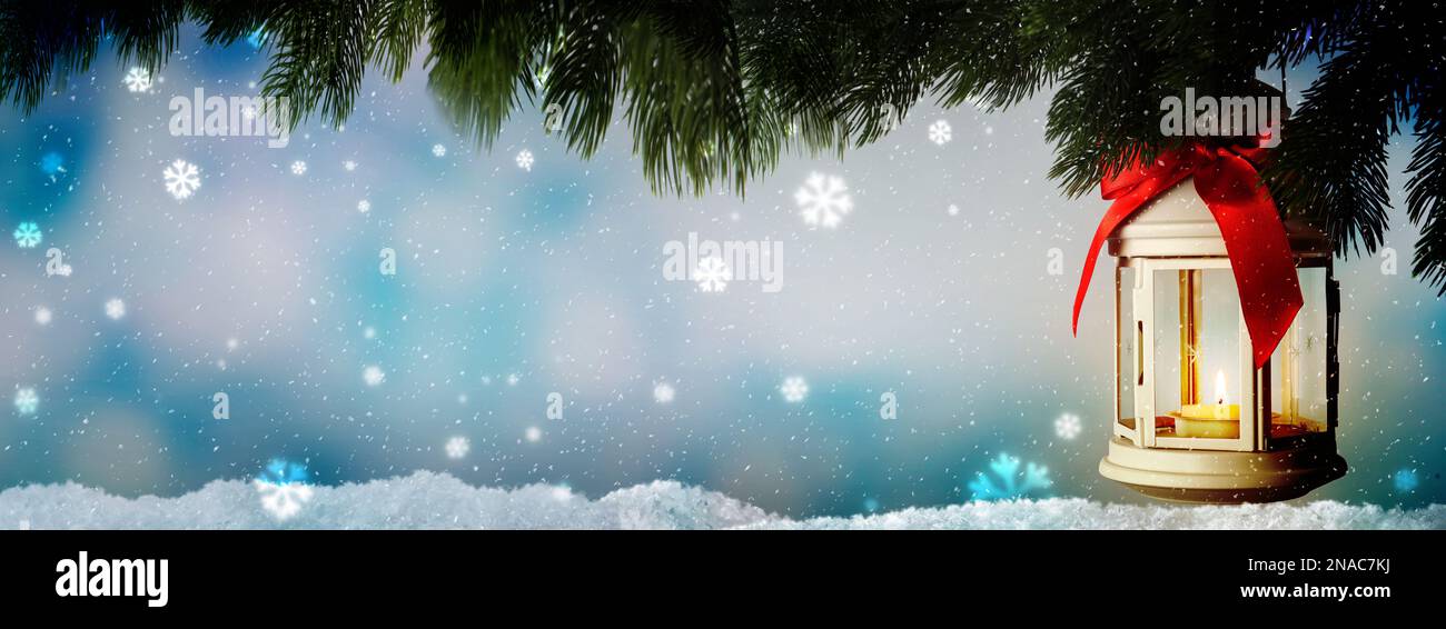 Beautiful Christmas lantern hanging on fir tree branch. Banner design ...