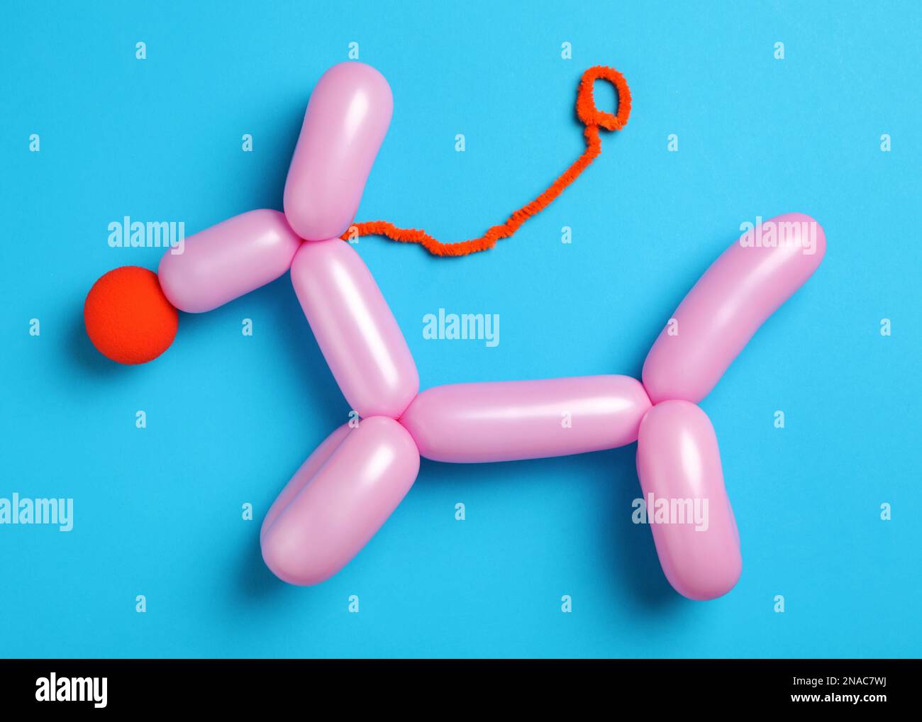 Dog figure made of modelling balloon on light blue background, top view ...