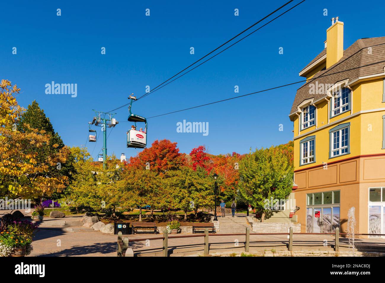 Cable car with autumn colours in Mont-Tremblant Ski Resort in the ...