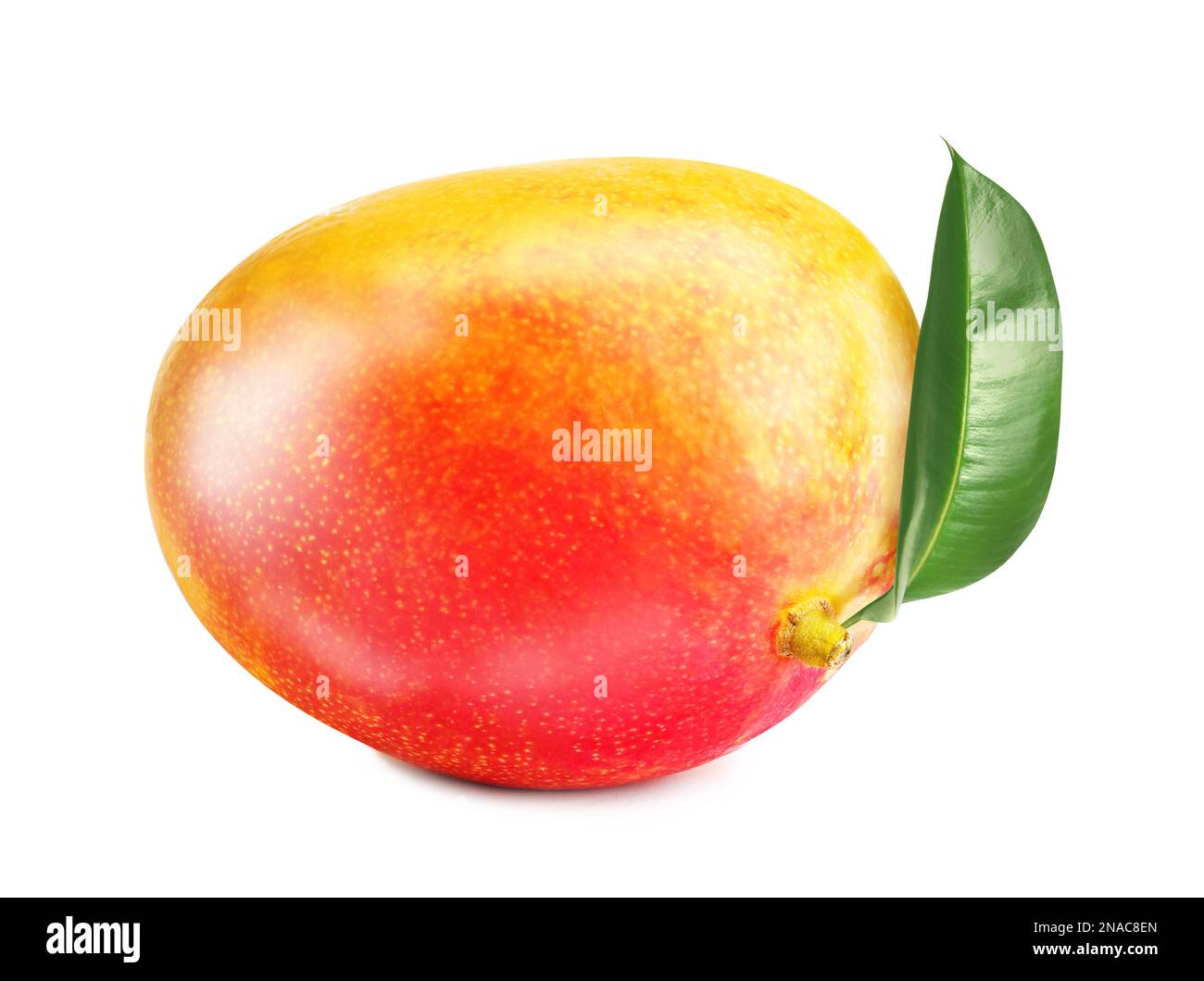 Mango green leaf hi-res stock photography and images - Alamy