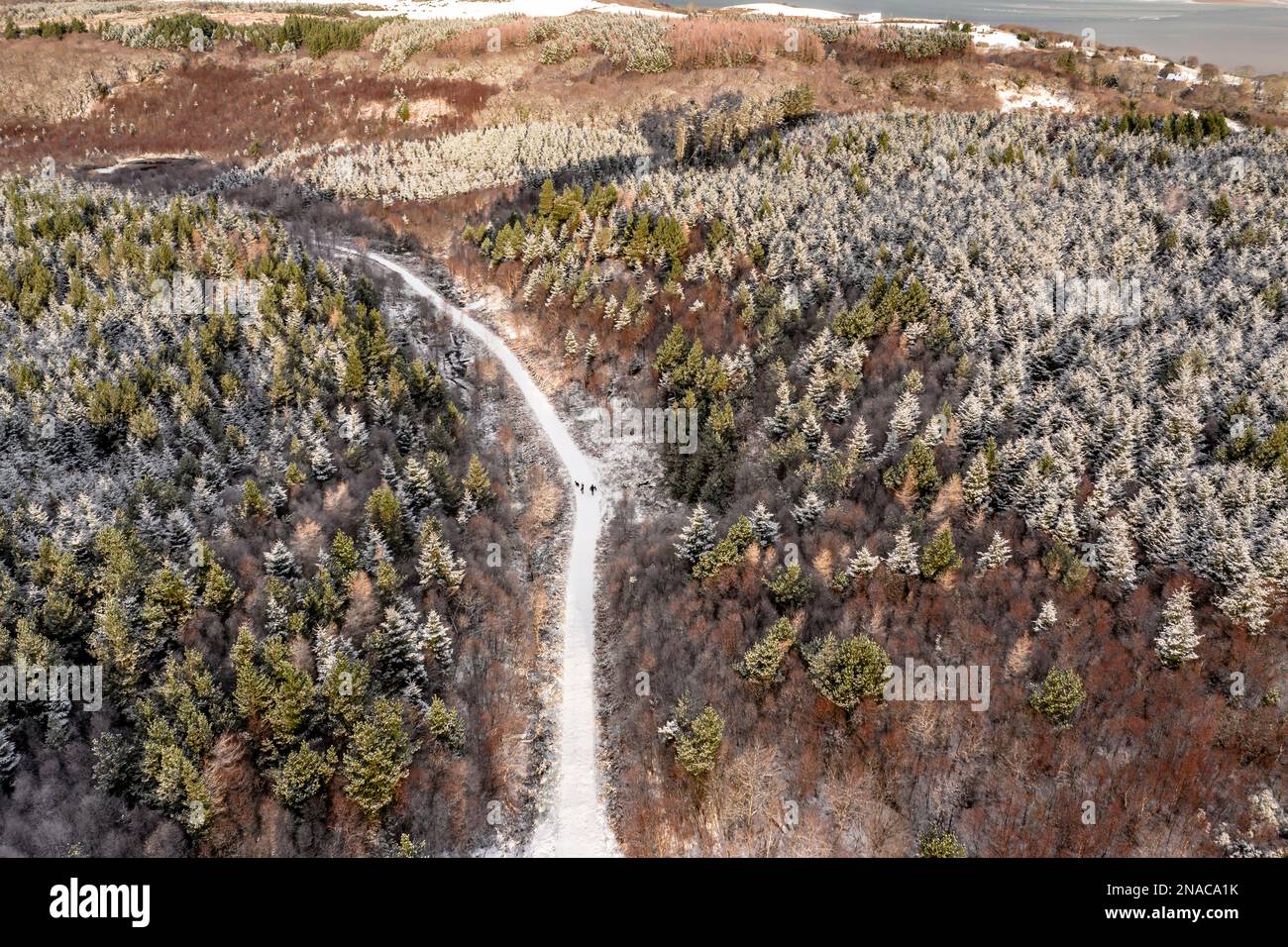 Aerial view of snow covered Bonny Glen Woods by Portnoo in County ...