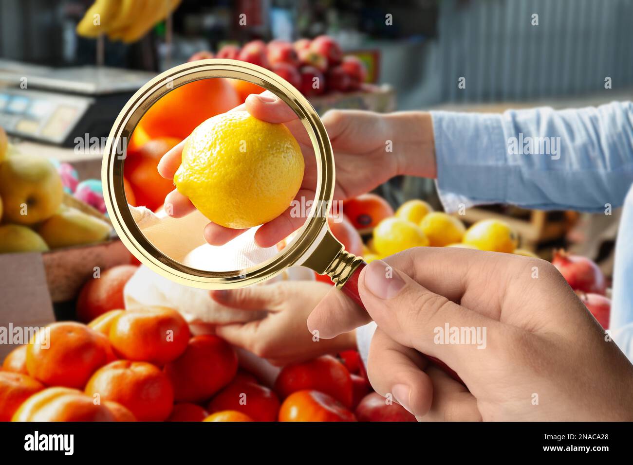 Waste vegetables quality control hi-res stock photography and images ...