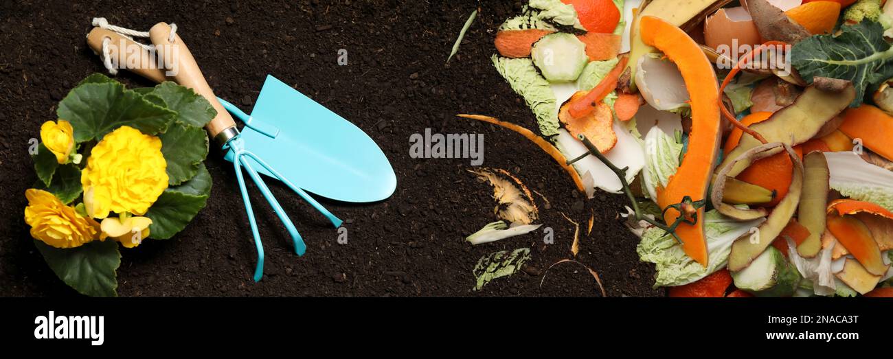 Gardening tools, flower and organic waste for composting on soil, flat ...