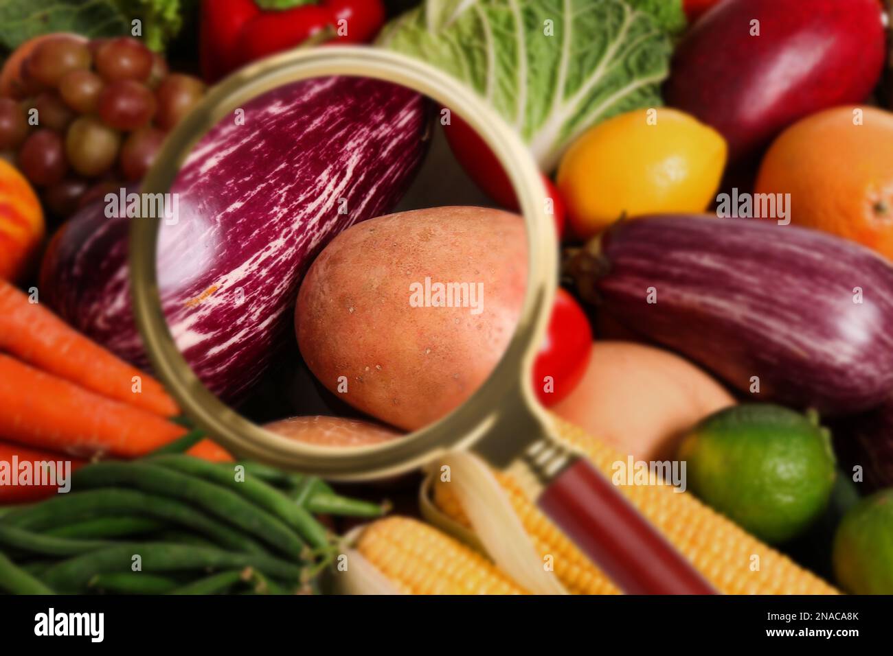 Magnifying glass focusing on vegetables, closeup. Food control Stock ...