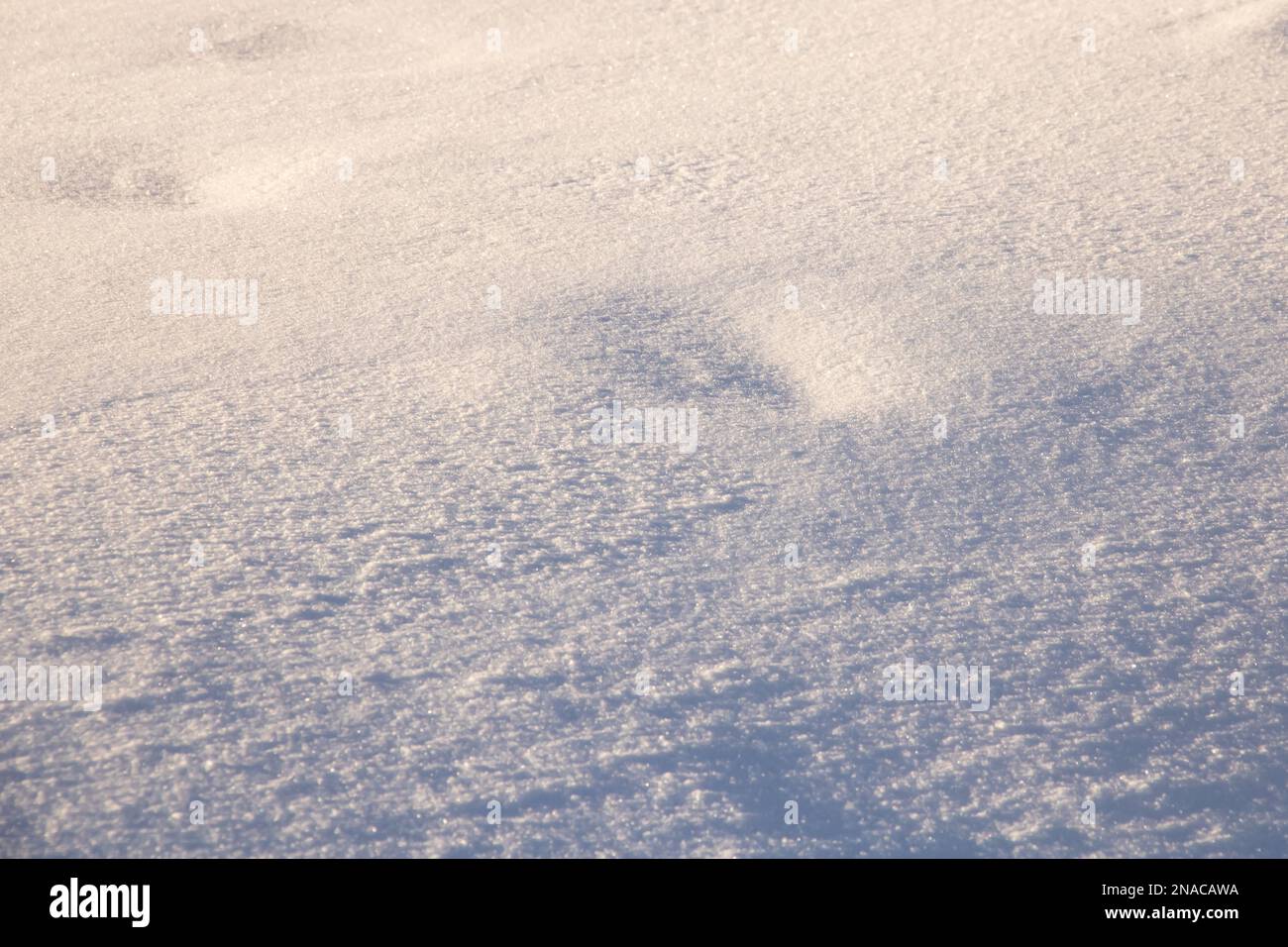 Snow in yellow light at sunset, background or texture Stock Photo - Alamy