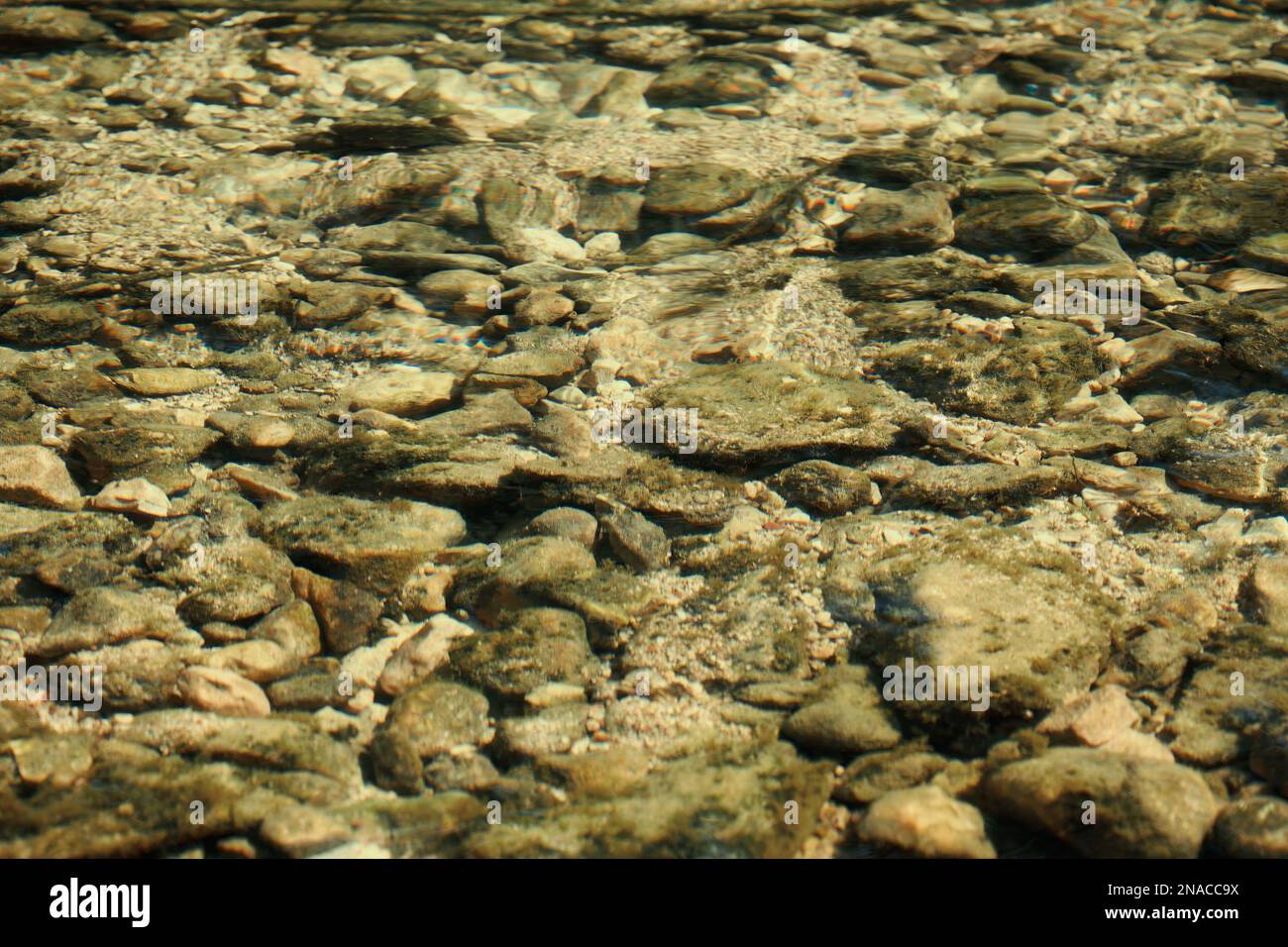 Small brown pebbles under the transparent sea water. Wild tropical ...