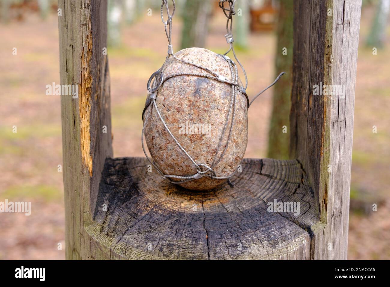 Stone bound in ropes, wooden stand. stone oval smooth surface Stock ...