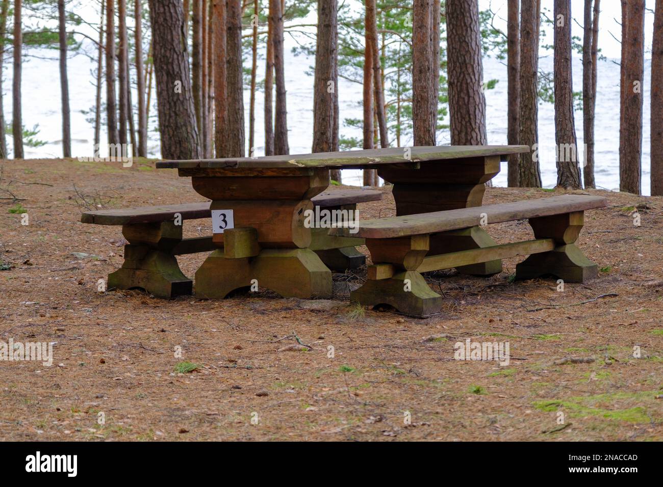 A large solid wood table with benches for sharing in a nature park in a ...