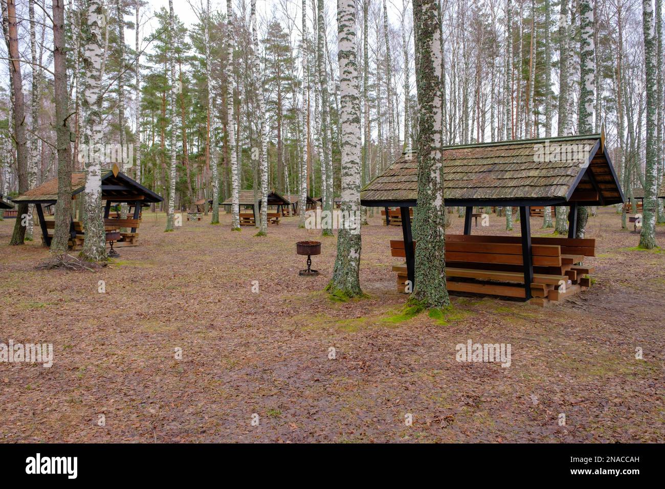 Recreation area in the forest with wooden gazebos, outdoor recreation ...