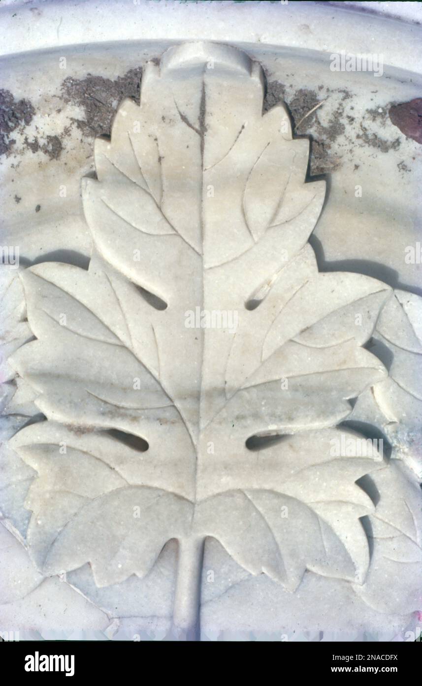 Carvings at radha swami temple hi-res stock photography and images - Alamy