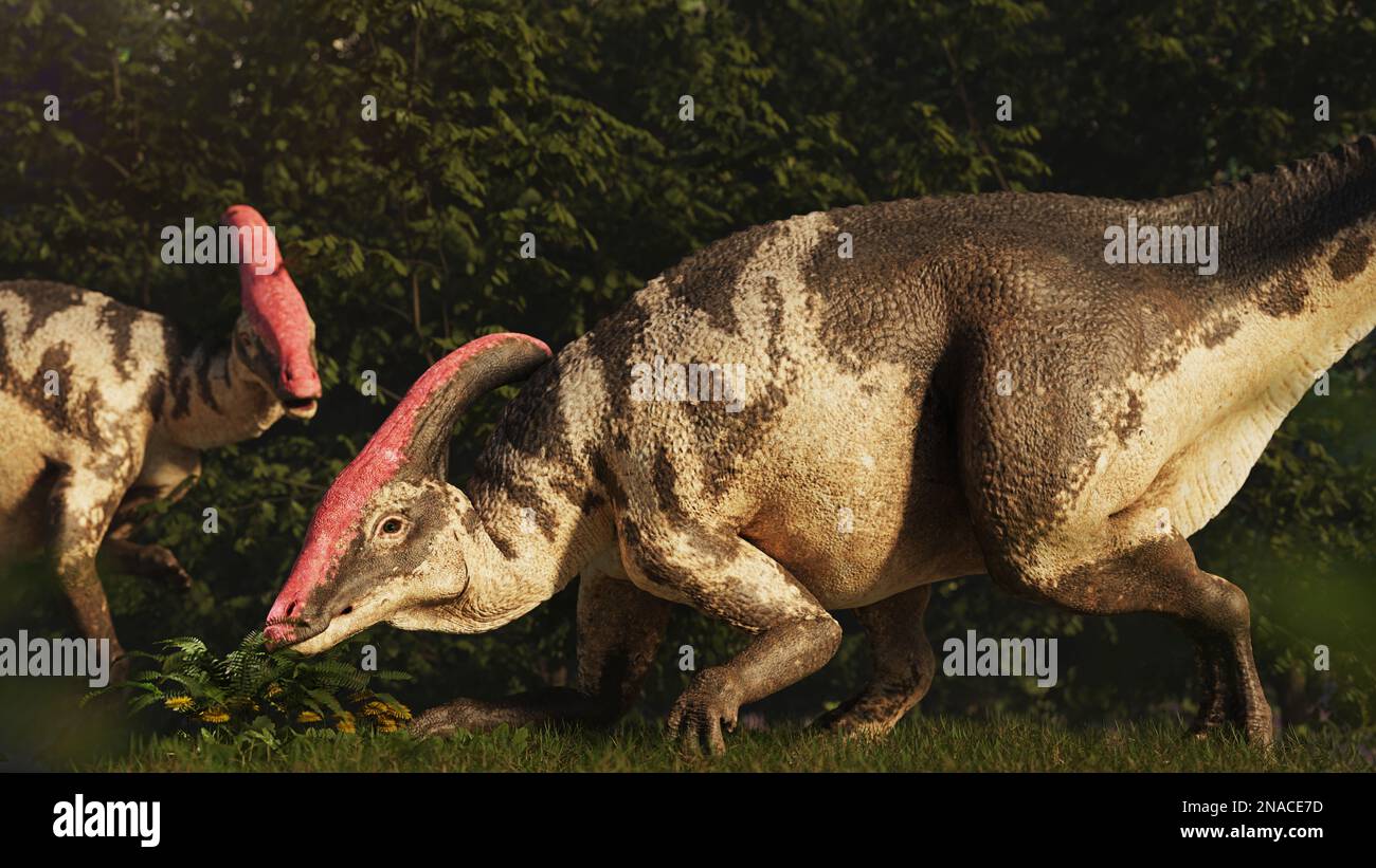 Parasaurolophus, dinosaurs in a Late Cretaceous forest landscape Stock ...