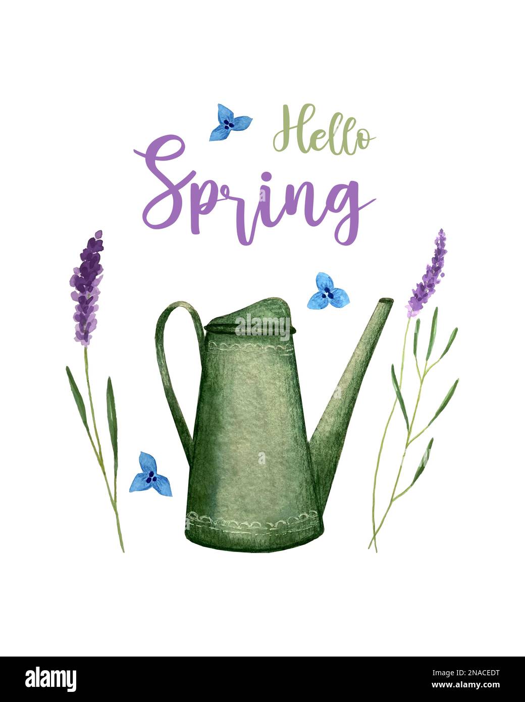 Hello Spring banner with garden watering can, lavender painted in ...