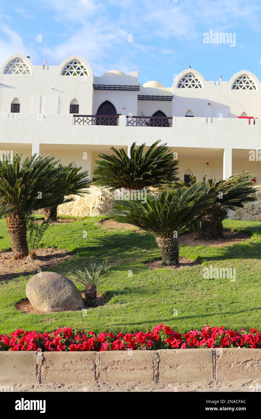 hotel area with palm trees landscape design Stock Photo - Alamy