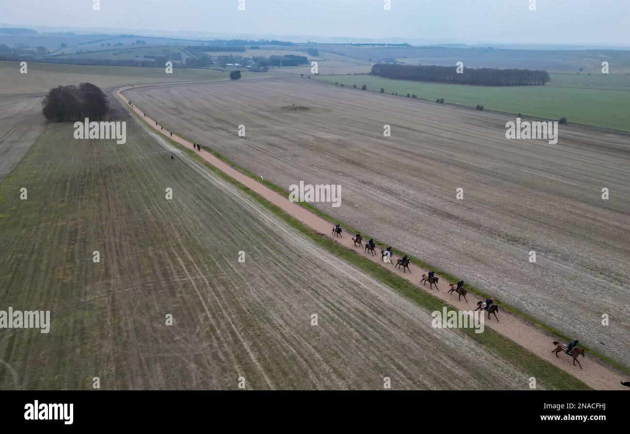 Horses on the gallops during a visit to Nicky Henderson's stables at ...