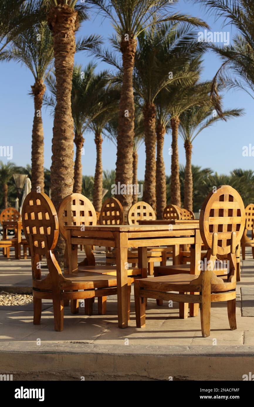 hotel area with palm trees landscape design Stock Photo - Alamy