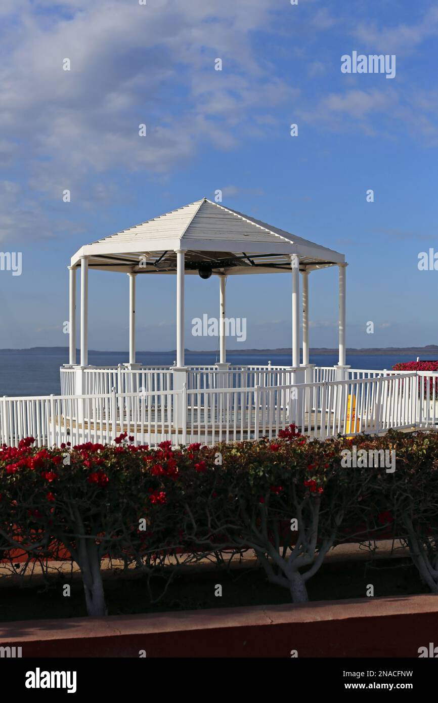 hotel area with palm trees landscape design Stock Photo - Alamy