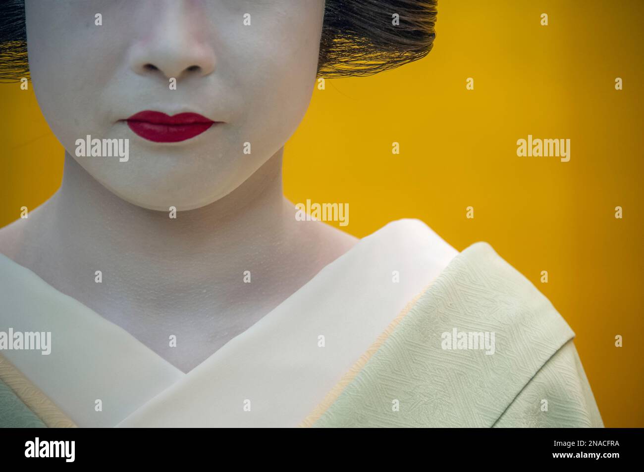 A Maiko is an apprentice geisha in Kyoto and Western Japan. Their jobs ...