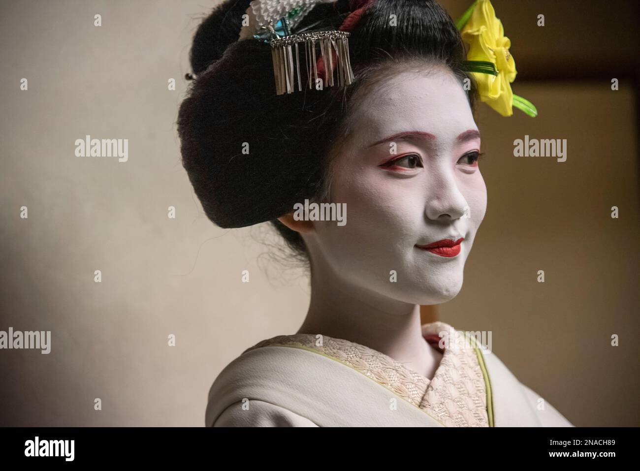 A Maiko is an apprentice geisha in Kyoto and Western Japan. Their jobs ...