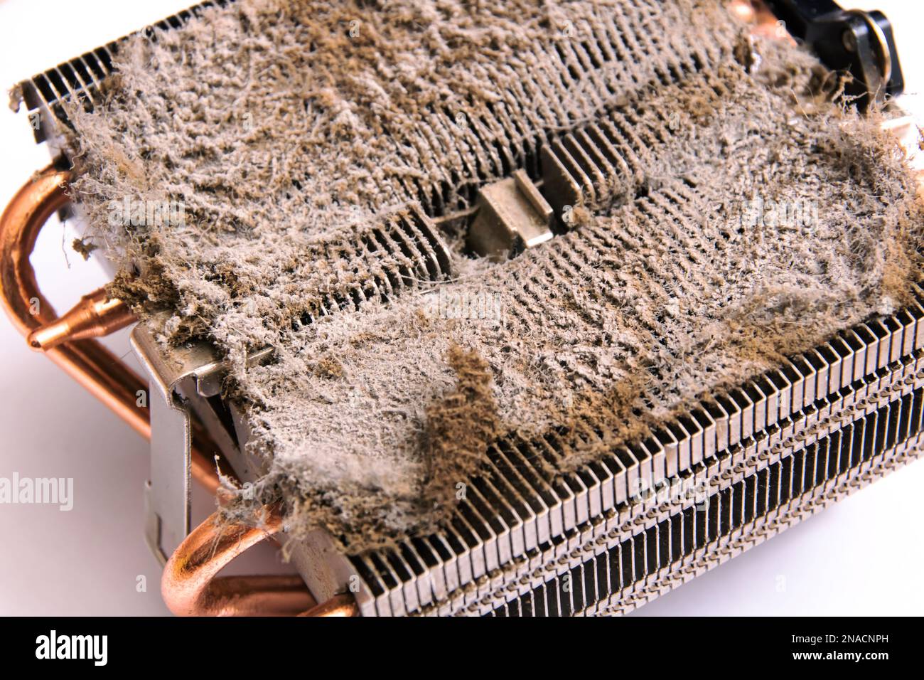 Dust on the fan in the computer close up Stock Photo - Alamy