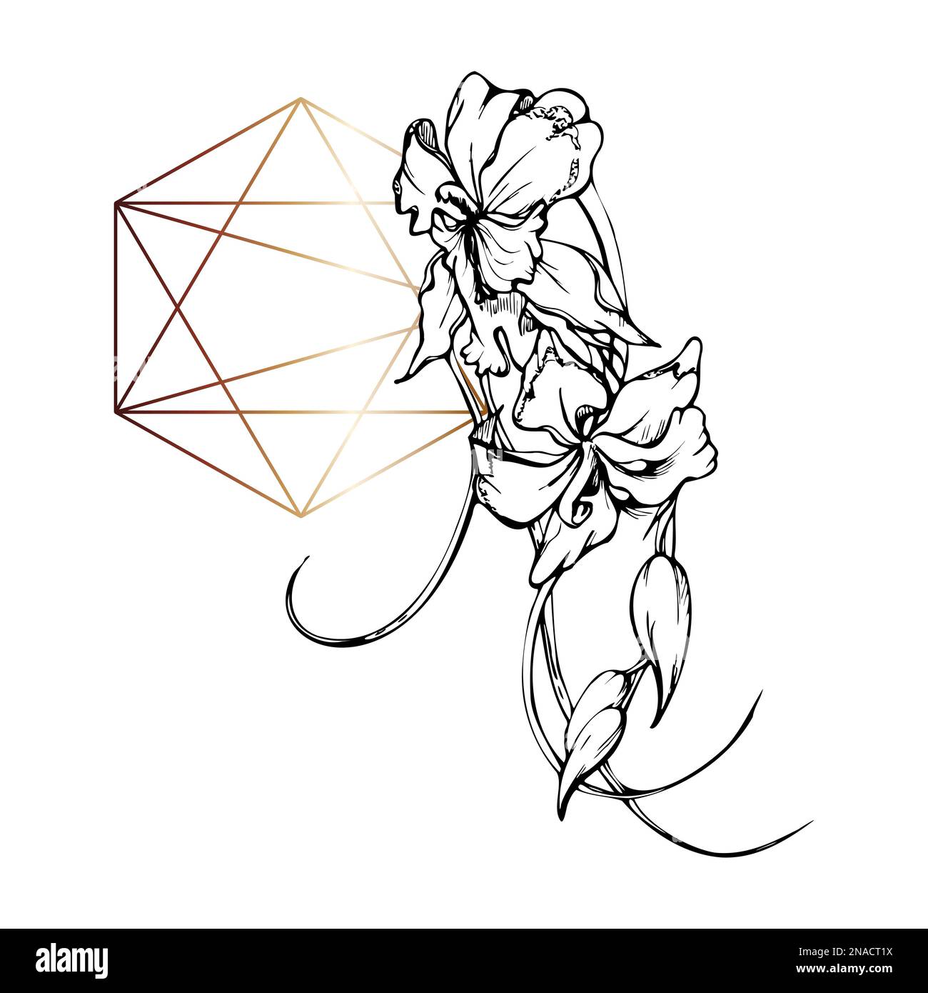 Hand drawn vector ink orchid flowers and branches, monochrome, detailed ...