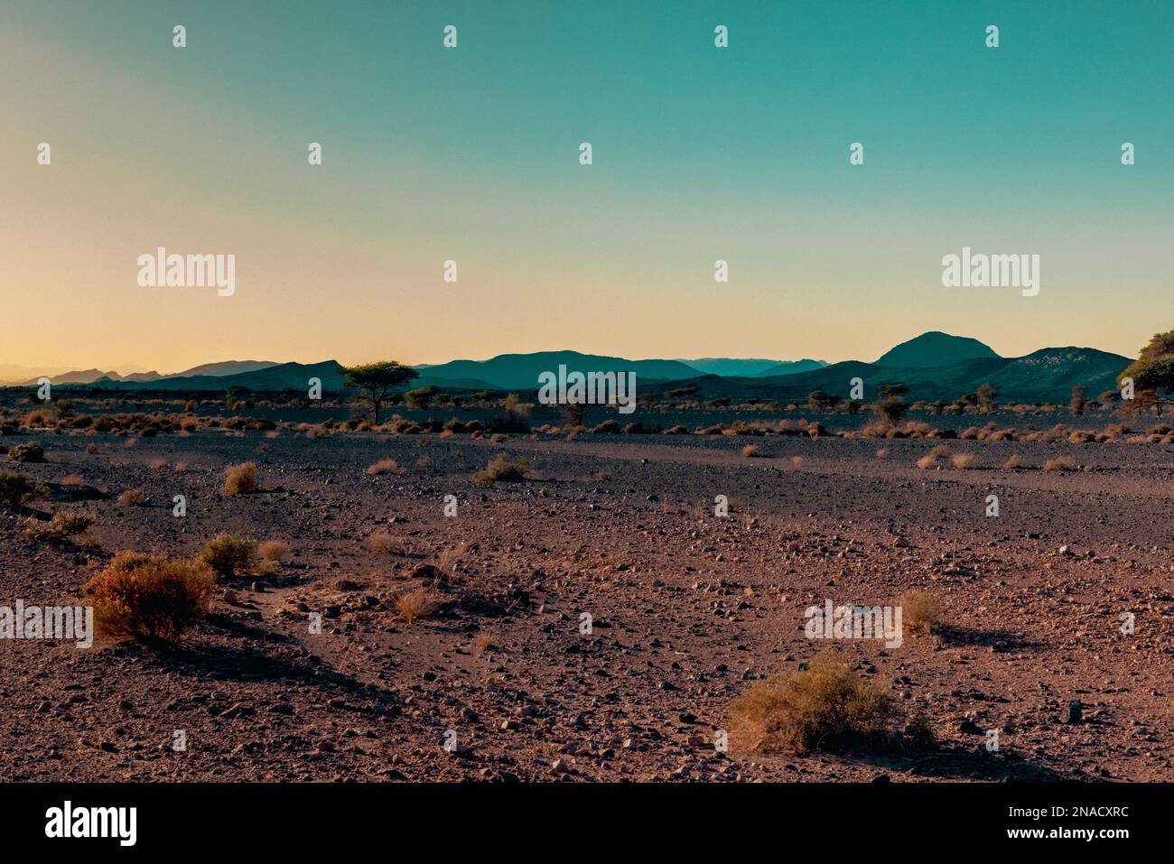Sparse desert landscape with mountains in the distance and blue sky ...