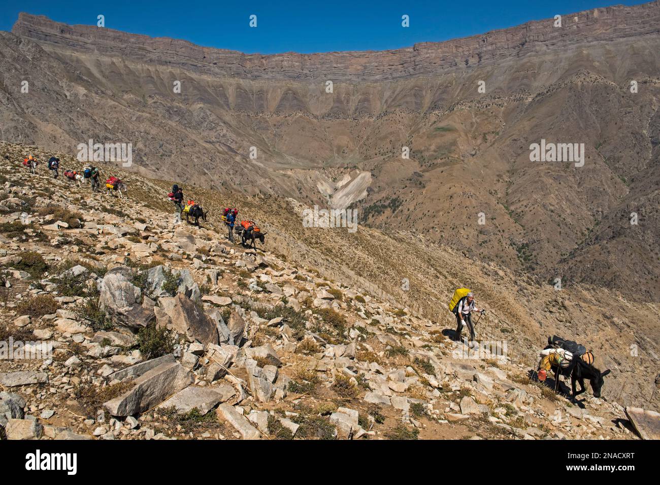 After finally reaching the col (midway ridge) and the highest point of ...