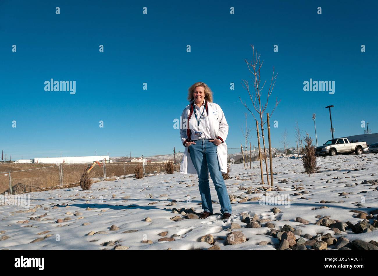 Neuro immune hi-res stock photography and images - Alamy