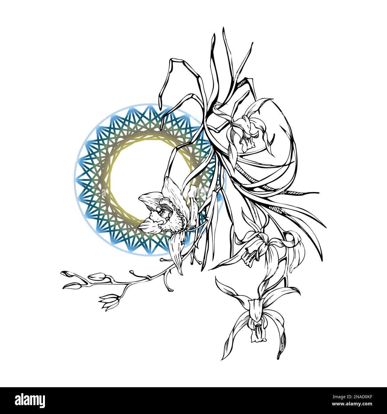 Hand drawn vector ink orchid flowers and branches, monochrome, detailed ...