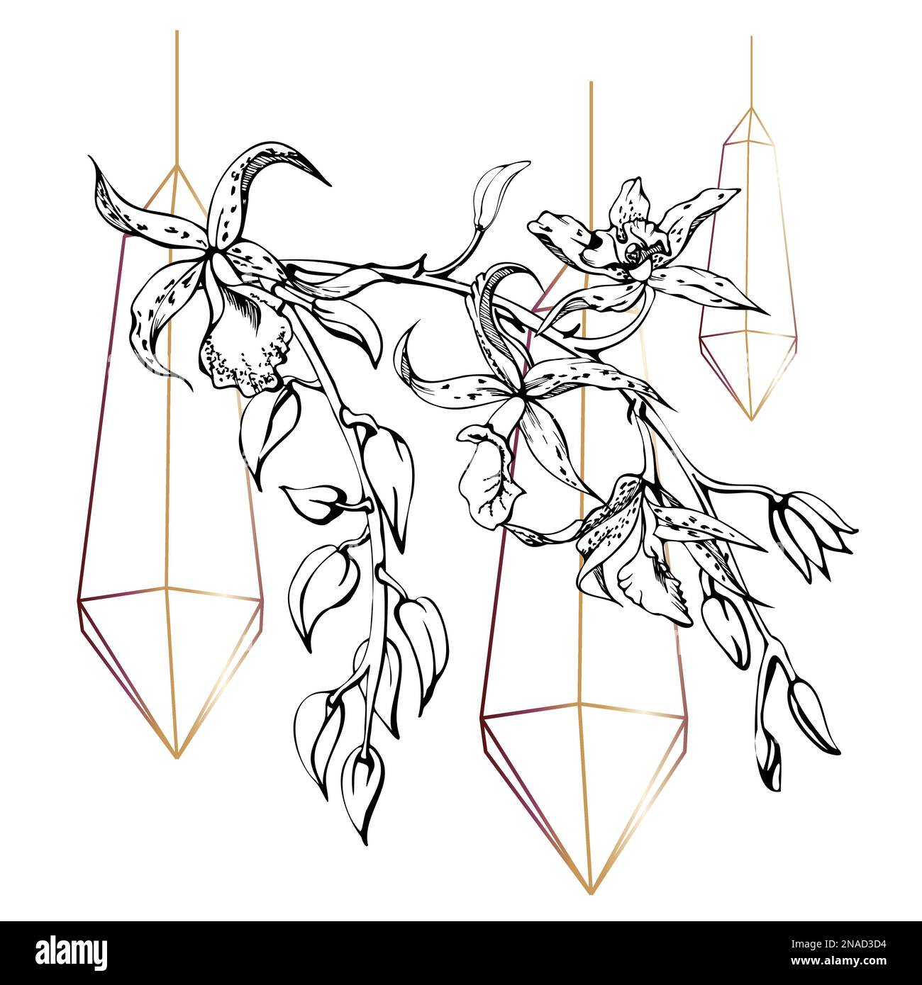 Hand drawn vector ink orchid flowers and branches, monochrome, detailed ...