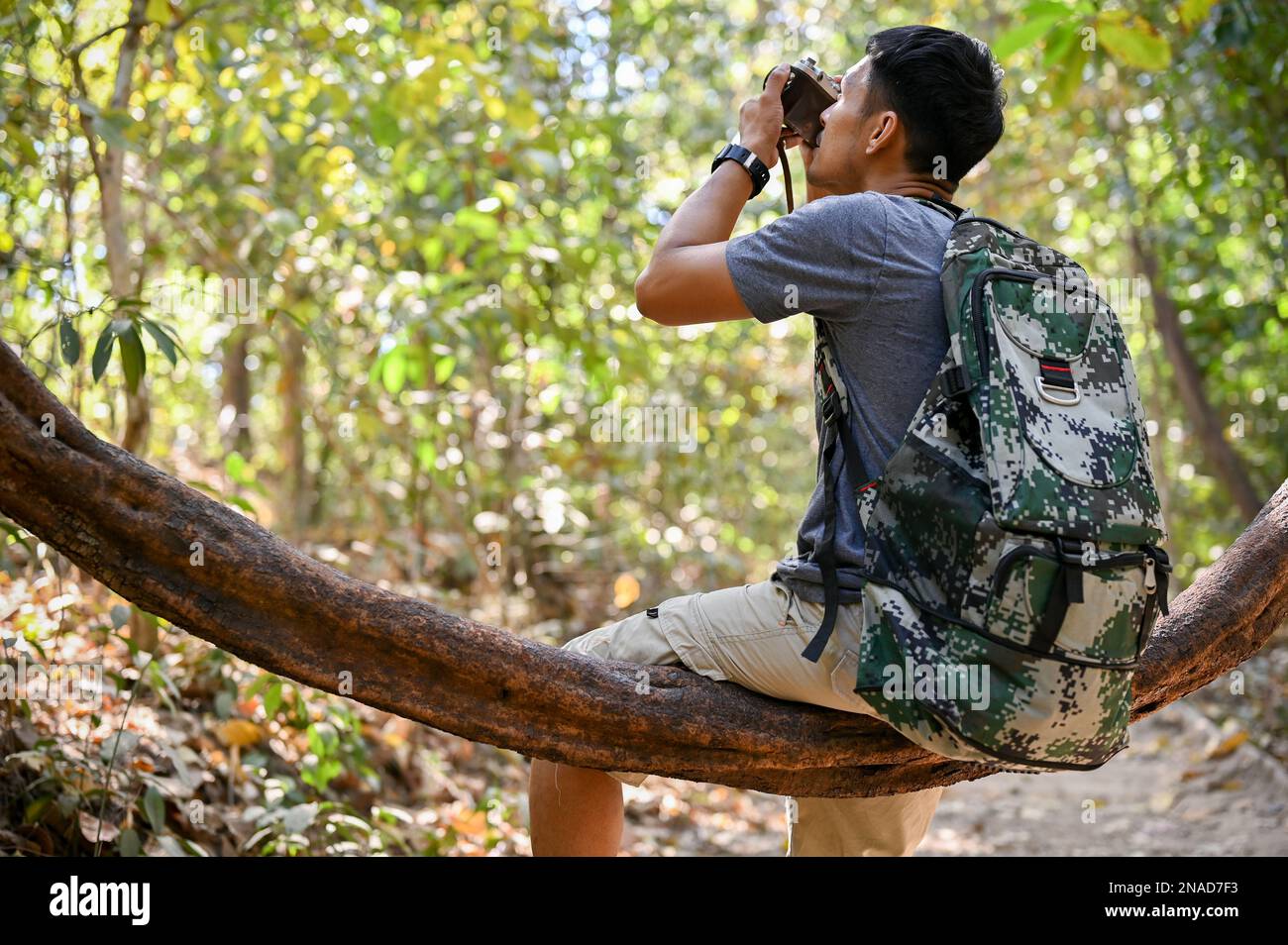 An Asian man with trekking gear sitting on a large tree vine and taking ...
