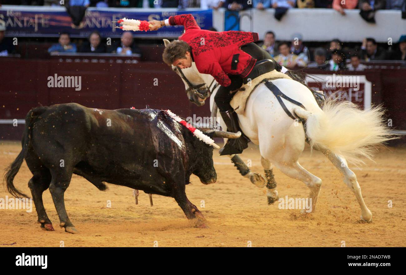 Spain's mounted bullfighter Pablo Hermoso de Mendoza performs during a ...